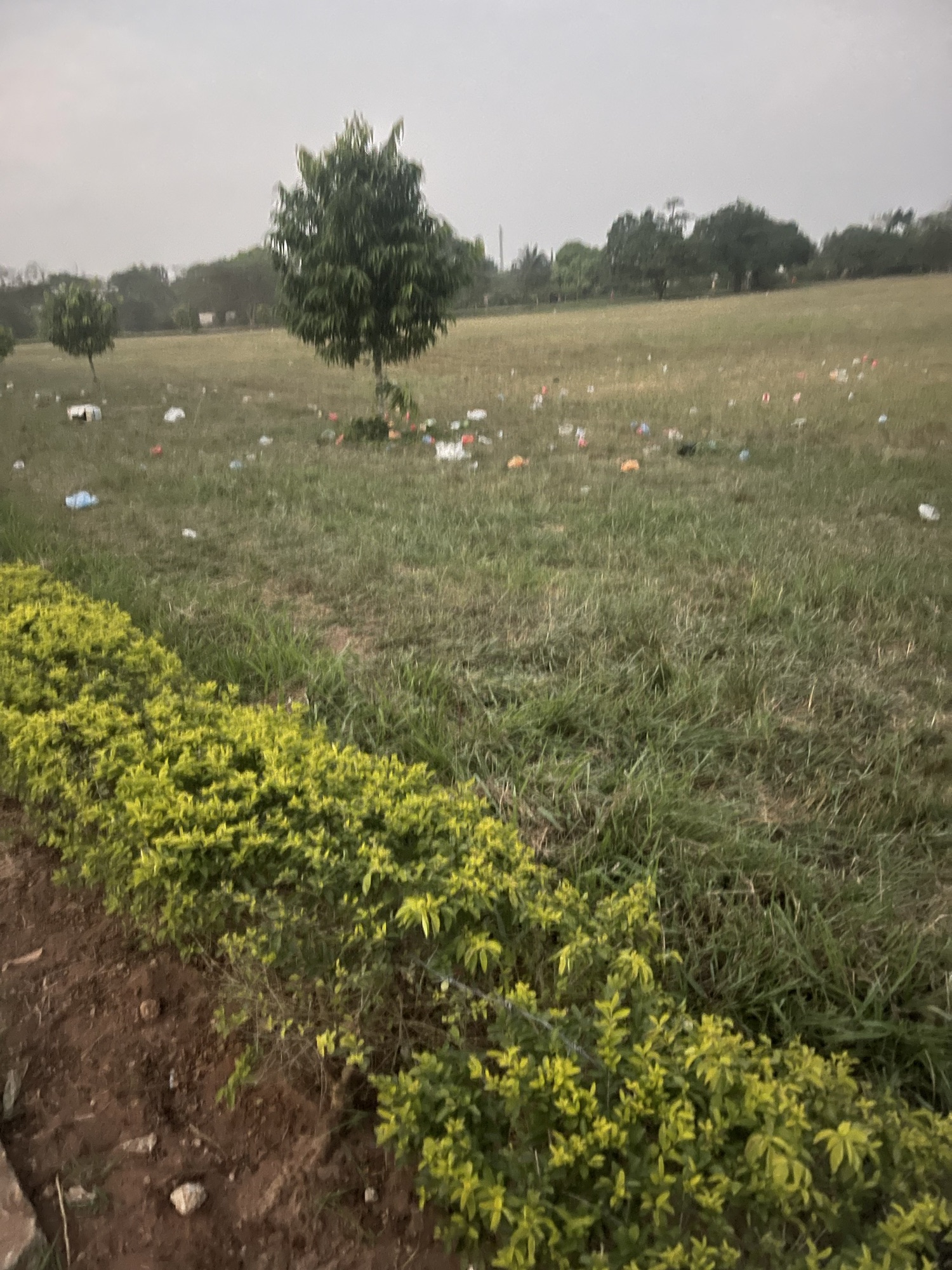 Uniben Convocation Ceremony 2024 and the Campus Litters – IYABODE ...