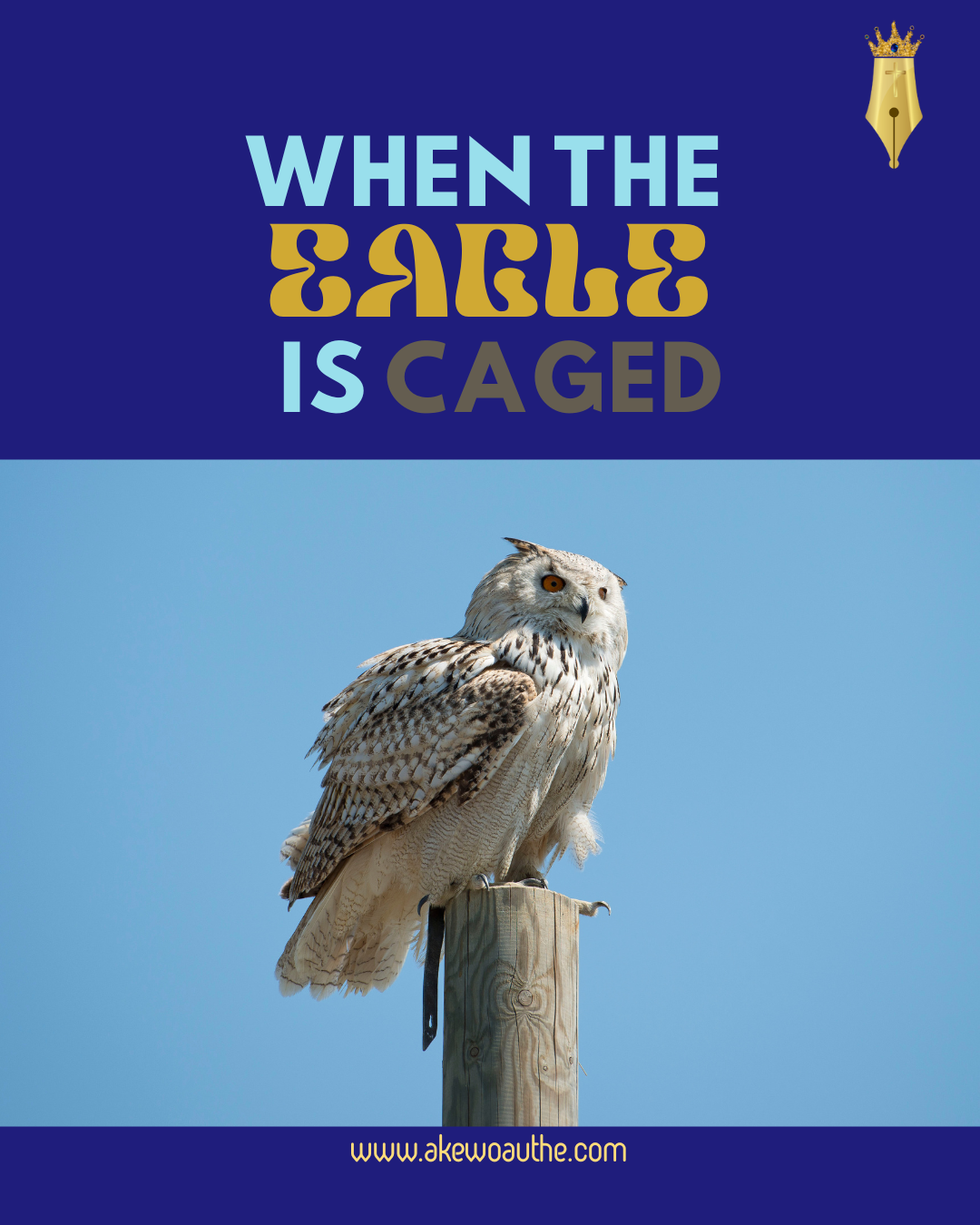 WHEN THE EAGLE IS CAGED – IYABODE OMOLARA AKEWO NWABUEZE
